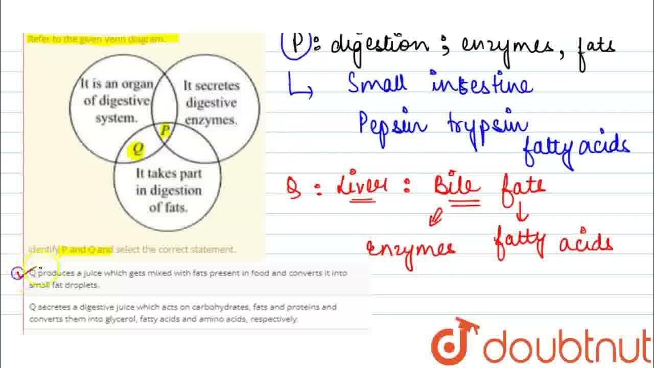 Refer To The Given Venn Diagram Identify P And Q And Select The Correct