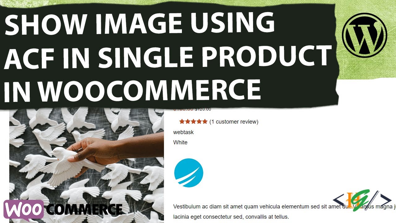How to Display Image Advanced Custom Fields (ACF) in WooCommerce ... How to Display Image Advanced Custom Fields (ACF) in WooCommerce ...