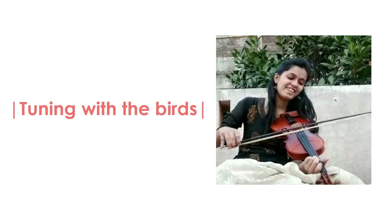 Tuning with birds today | Raag Bhup | Violinist | Naadmayee - YouTube