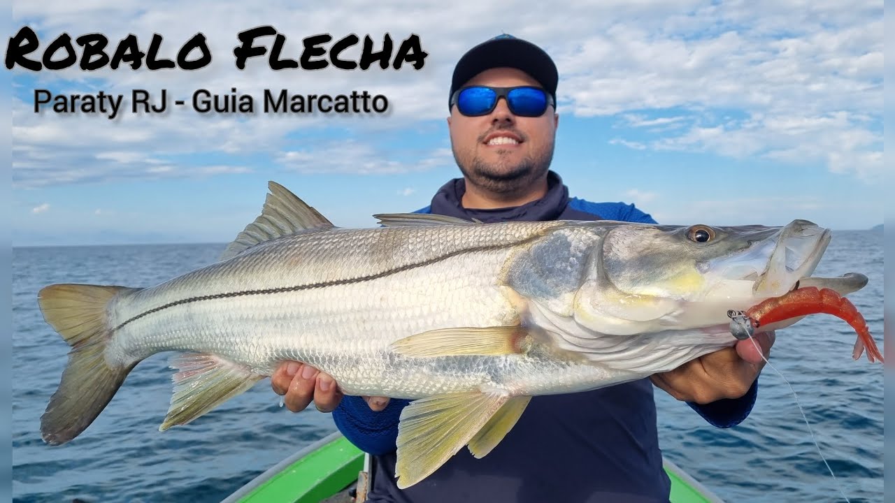 Robalo Flecha capturado com Camarão Artificial. Paraty RJ - Guia Rafael Marcatto. - YouTube