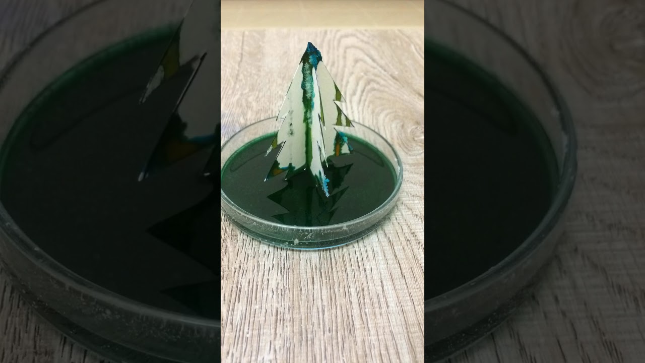 Magic Crystal Tree - Science show - YouTube