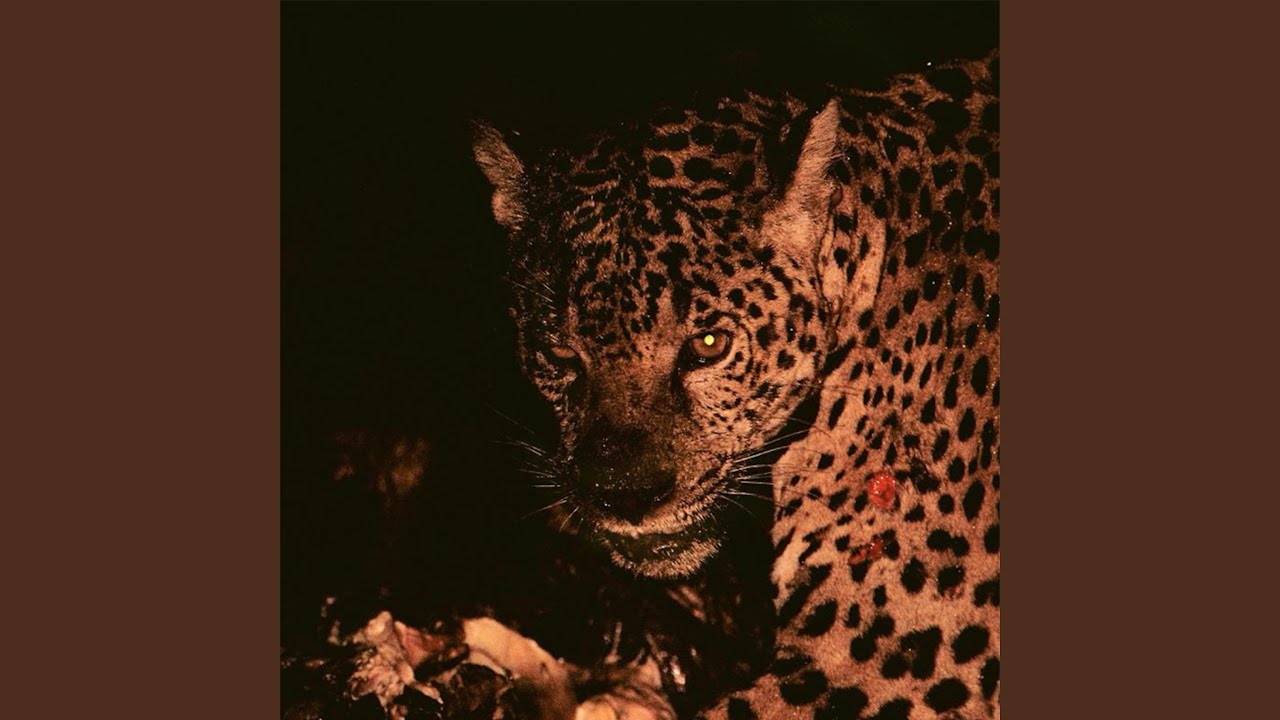 Jaguar - YouTube