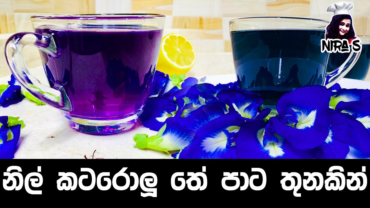 nil katarolu mal drink | healthy | දිව්‍ය ඖෂධය නිල් කටරොලු මල් පානය පාට 3 කින් හදා ගන්න පුදුම ...