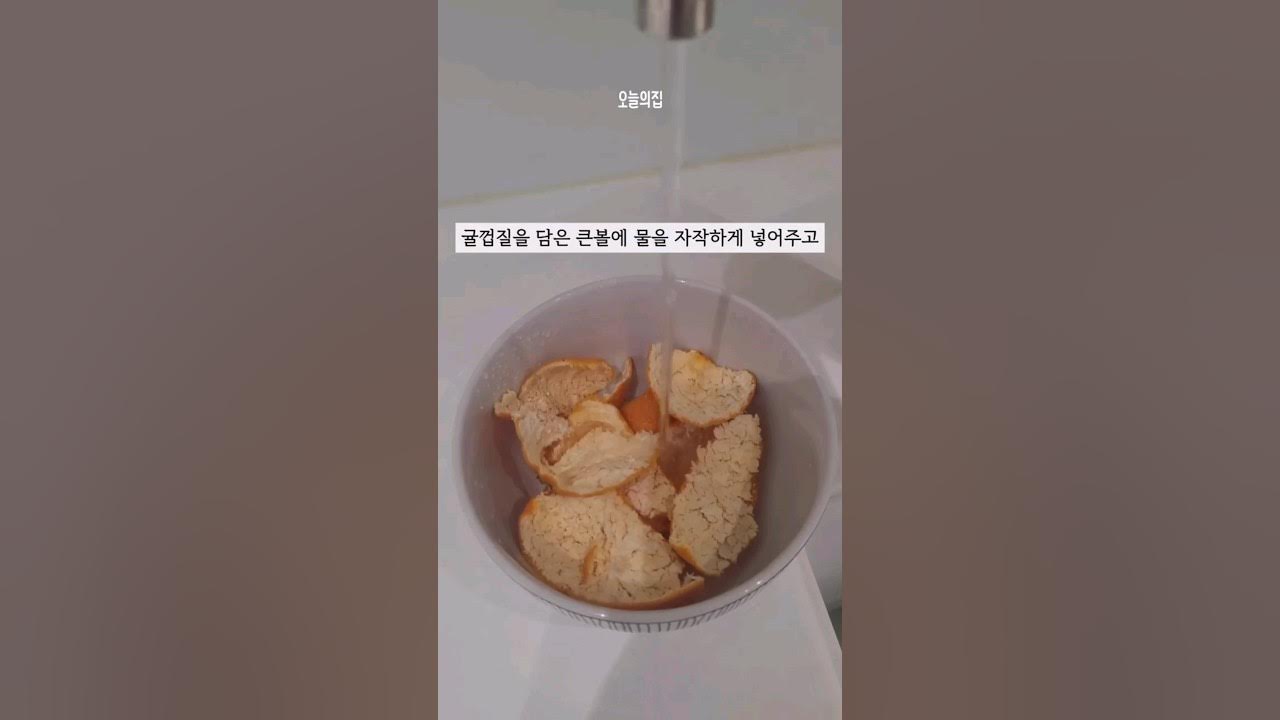 귤 껍질 설마 그냥 버리시게요 Shorts Youtube