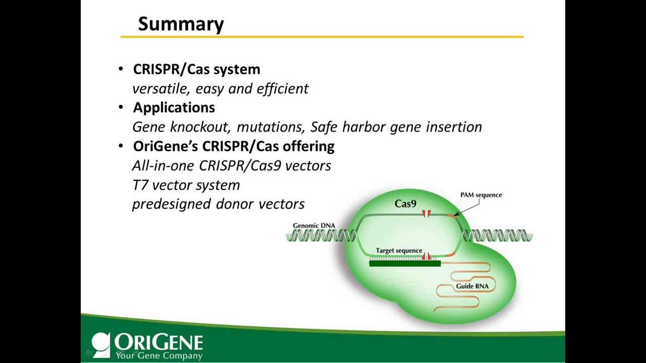 Webinar: Genome Editing with CRISPR/Cas9 - YouTube