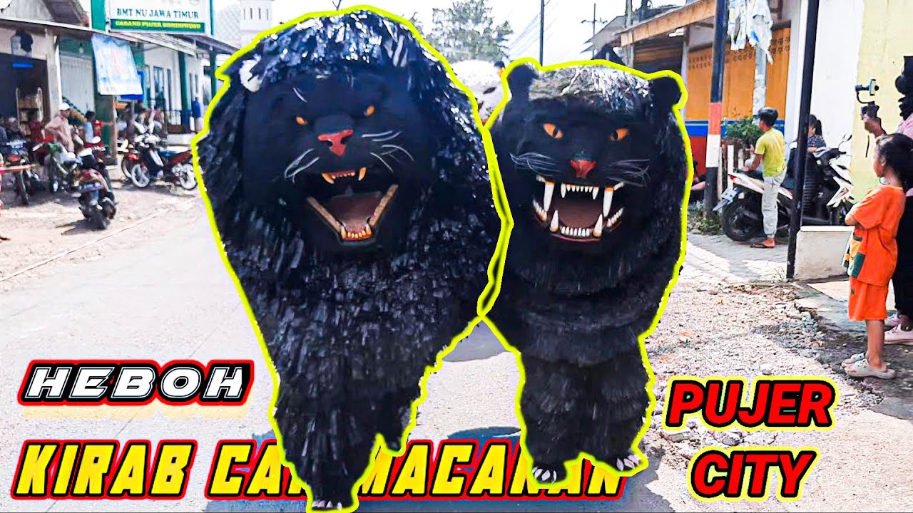 HEBOH MACAN JAVA SONGO RAUNG || CAN MACANAN DRUMBAND AL AZHAR - YouTube