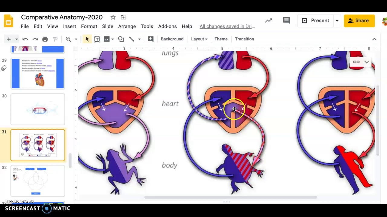 5/13/2020- heart comparisons - YouTube