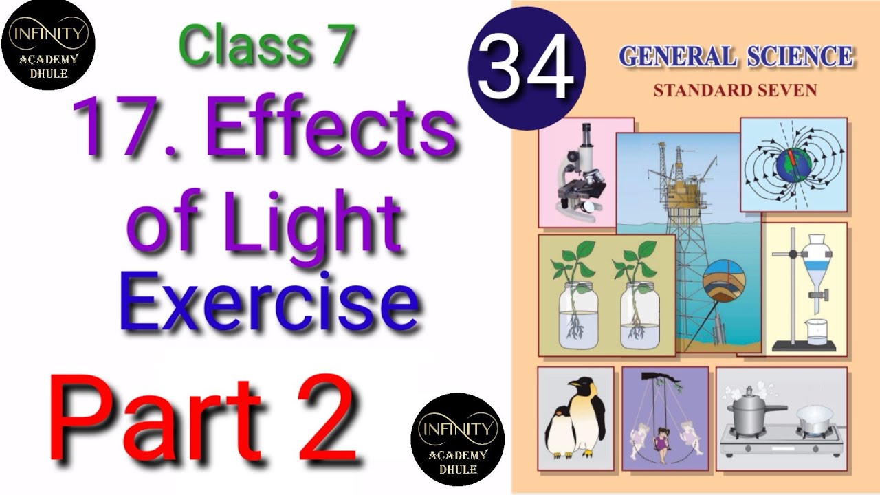 17 Effects of Light Exercise Answers Q 6, 7, 8 7th Science State board ...
