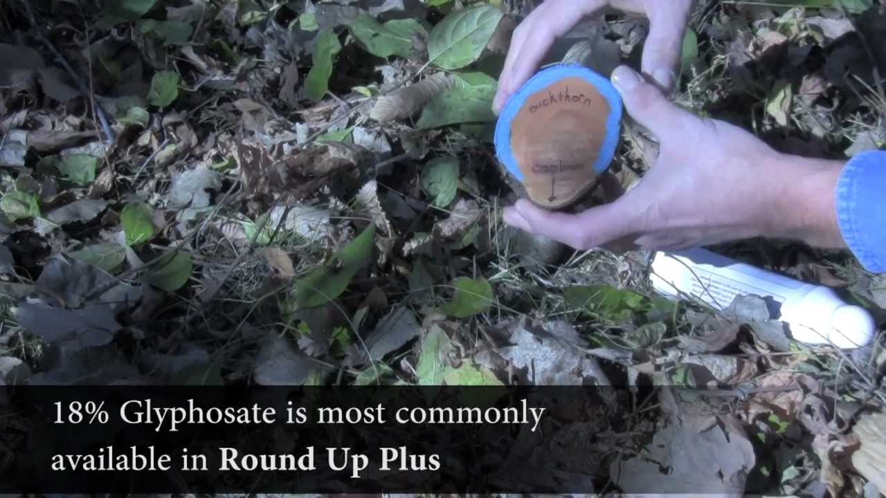 The Cut Stump Method - YouTube