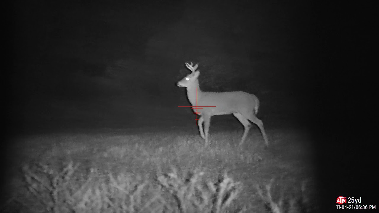 Snorting Buck 1 - YouTube