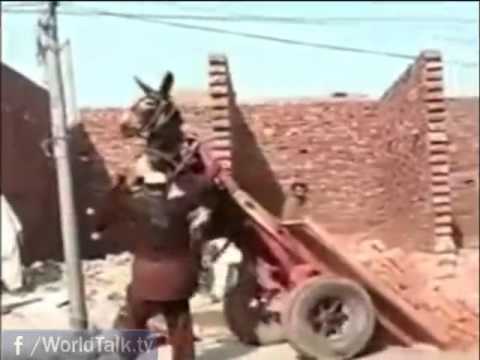 Ha Ha Ha !!! Funny Unloading - YouTube