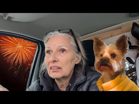 “Solothurn mussten wir sofort verlassen | Leben im Bus”