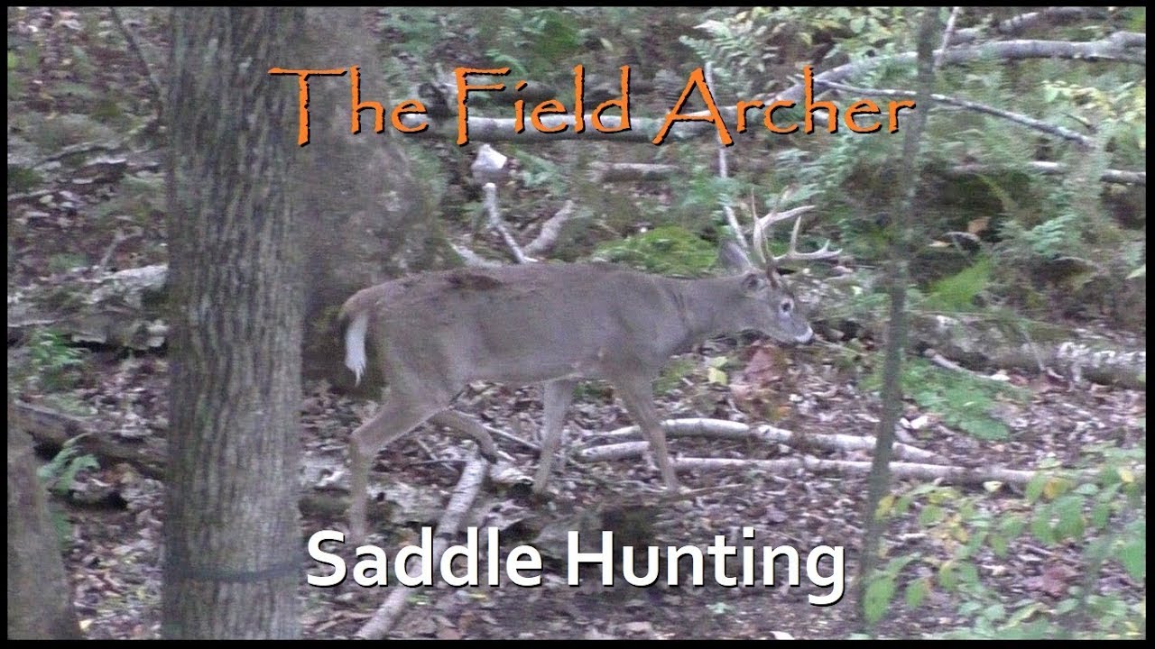 BOWHUNTING: Saddle Bow Hunting - YouTube