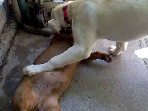 111111111111 - YouTube