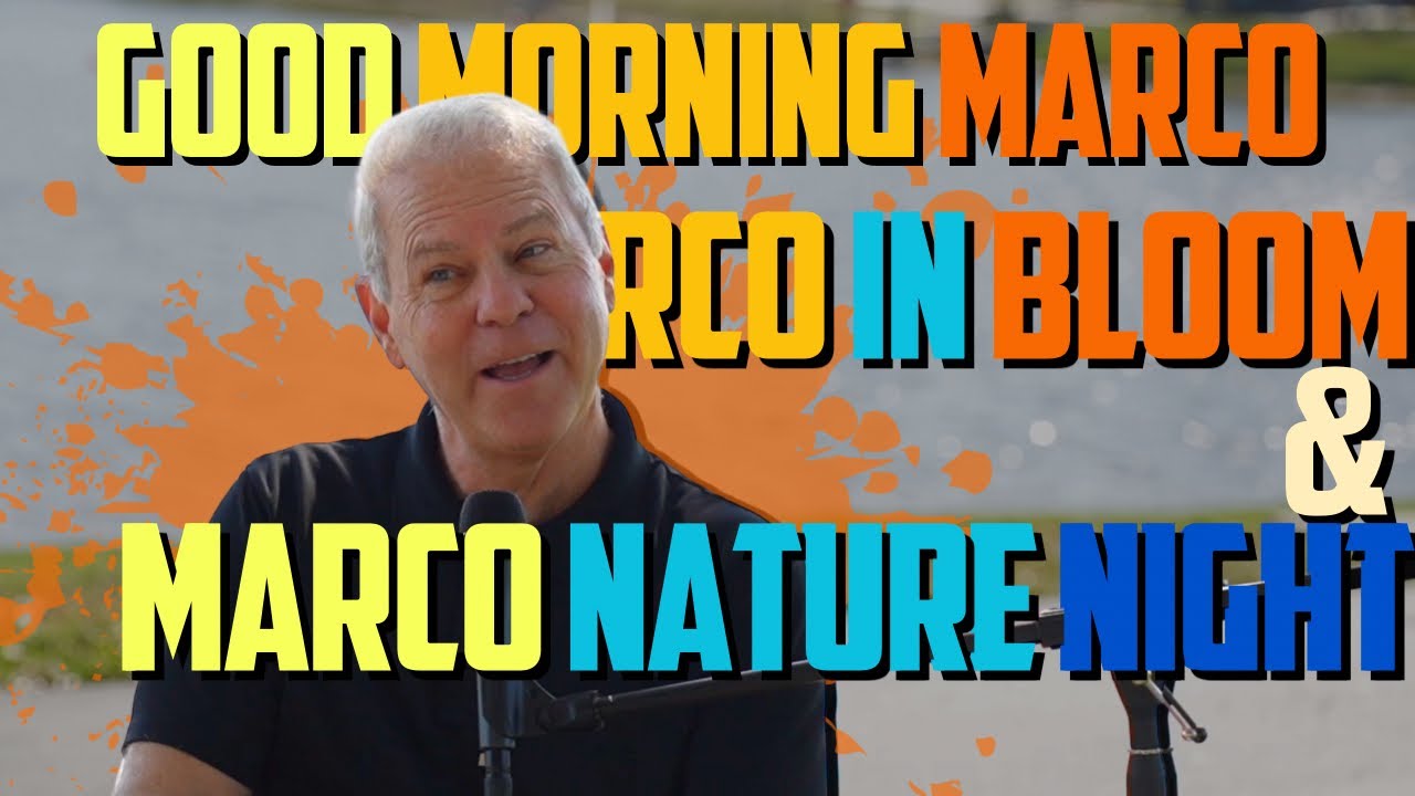 BEAUTIFICATION with David Leaser | Good Morning Marco - YouTube