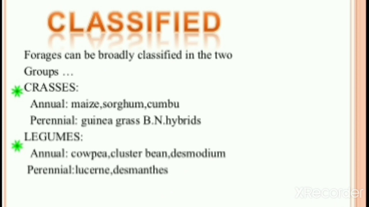 Types of fodder crops - YouTube