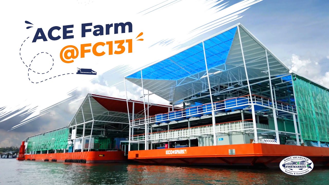 ACE Farm @ FC131 - YouTube