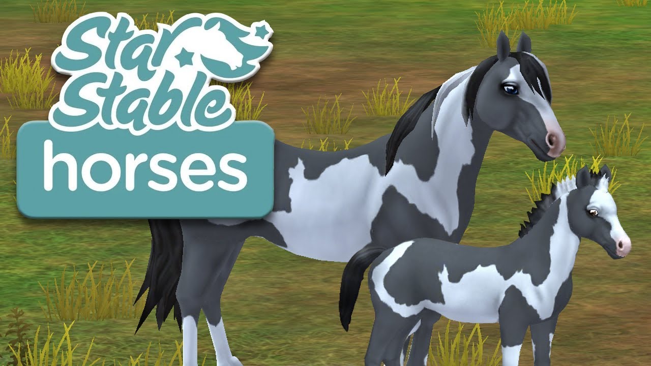 Raising a Grey Pinto Mustang Horse Foal! | Star Stable Horses App - YouTube
