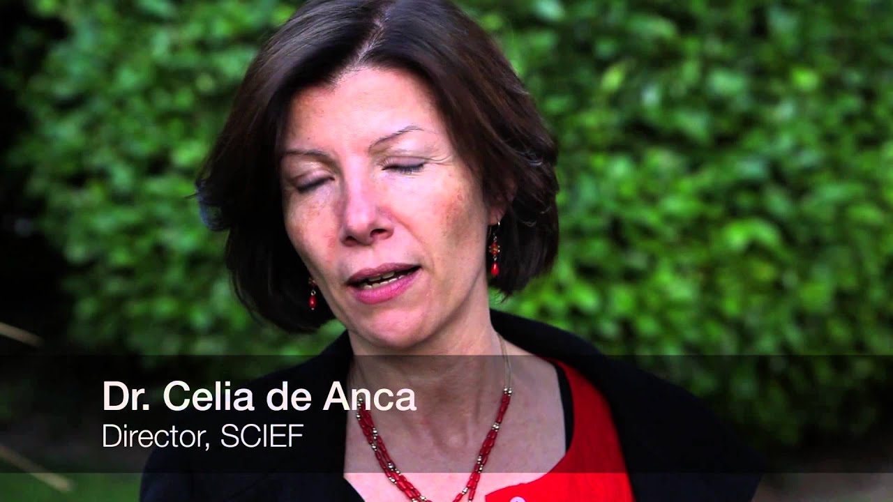 Social Impact Finance 2012 - SCIEF Think Tank - YouTube