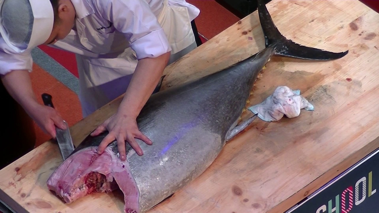 Blue Fin Tuna Cutting Show & Auction, Robata Monkey - YouTube