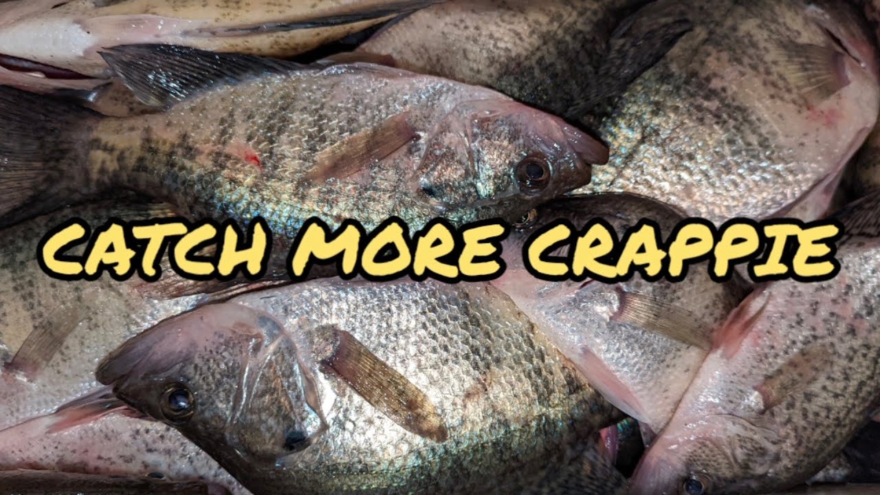 Catch More Crappie (Summer Slider Fishing) Hot Summer Action!!! - YouTube