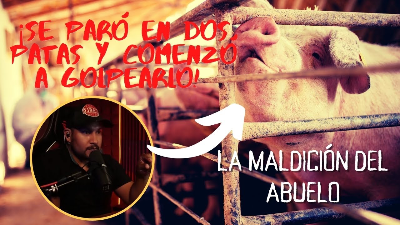 El Cerdo que CAMINÓ Y HABLÓ: Una Experiencia DE TERROR - YouTube