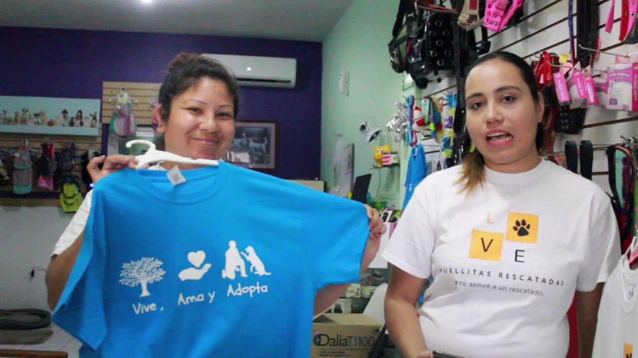 Huellitas Rescatadas / ONG / - YouTube