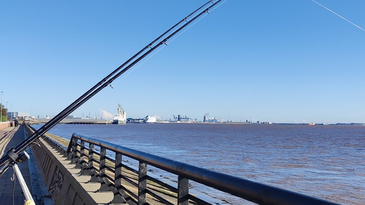 Sea Fishing River Humber - YouTube