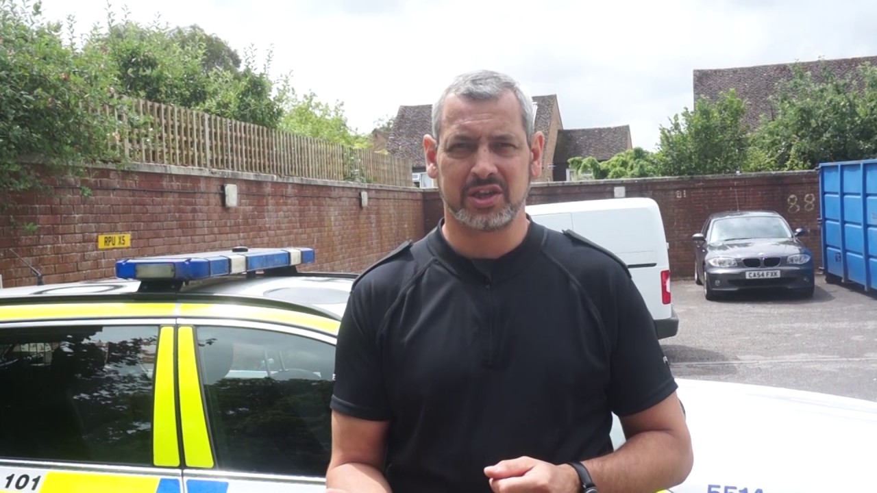 SERIP: A single regional instance of RMS Niche - YouTube