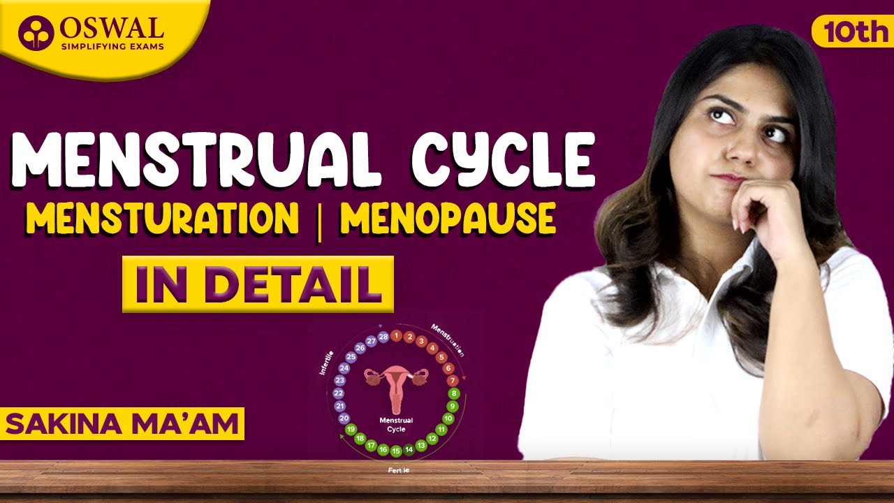 Menstrual Cycle - How do Organisms Reproduce | CBSE Class 10 Biology ...