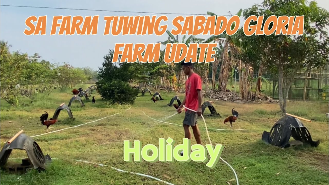Sa Farm Tuwing Sabado Gloria | Farm Update - YouTube