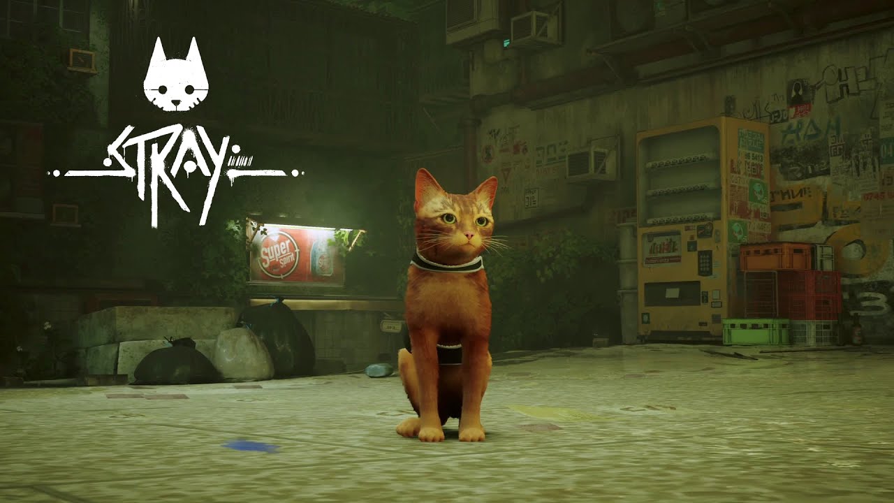 Stray - Part 2 - YouTube