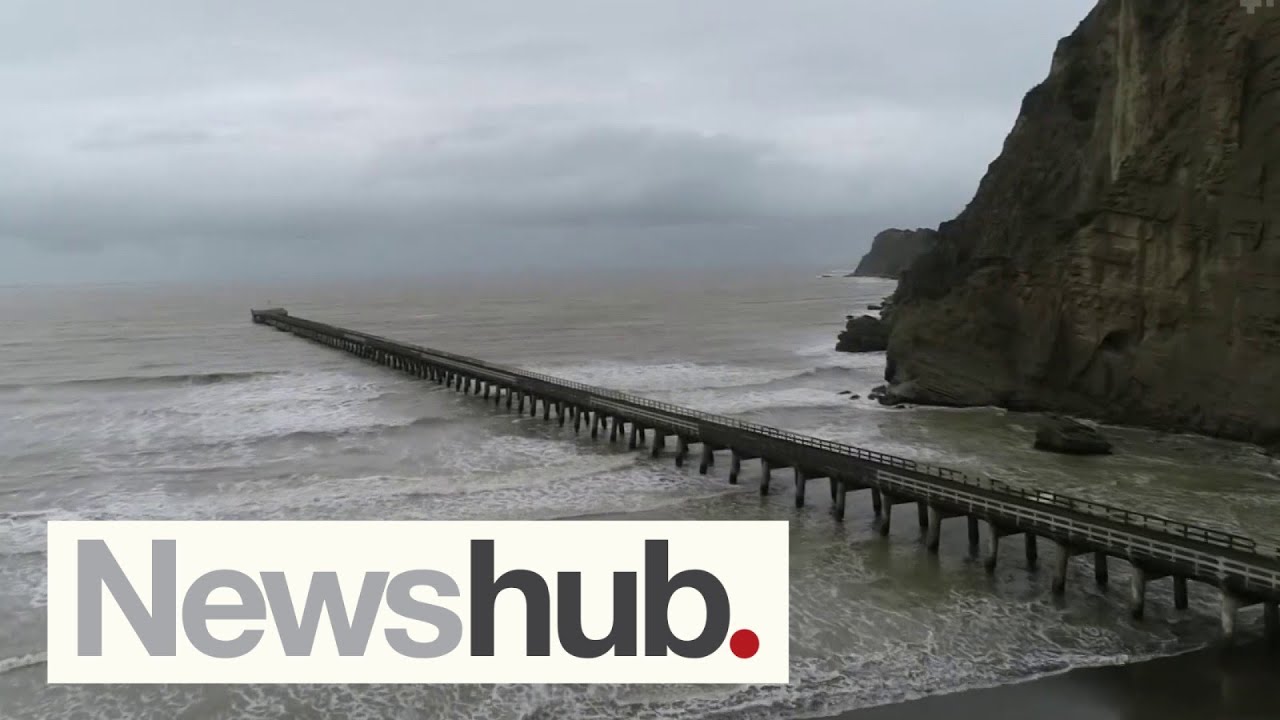 Don't eat the shellfish: Warning issued to parts of New Zealand over ...