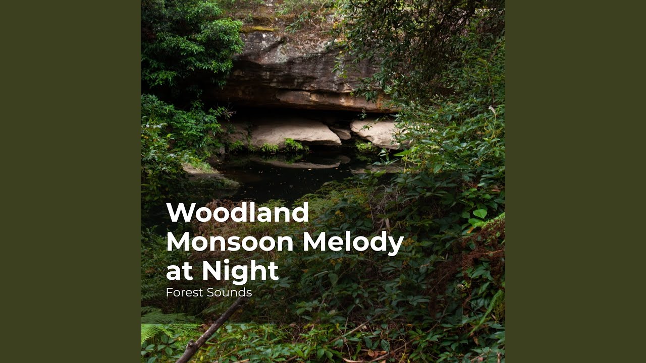 Lush Jungle Riverbed - YouTube