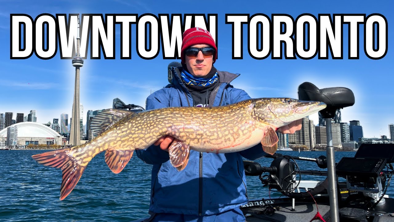 Pike Fishing Toronto Islands - Lake Ontario - YouTube