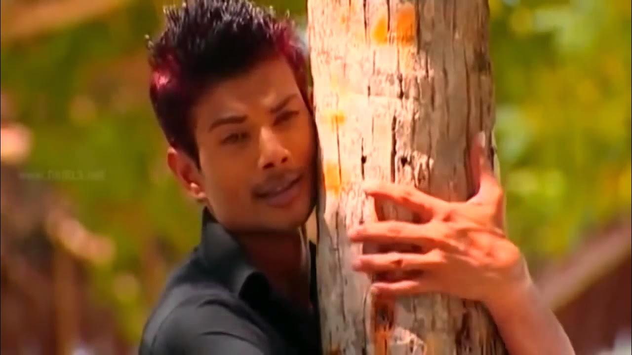 Dhivehi Song I Mee Furaanain Vevey Vaudhekey I Ali Rameez I Ali Rameez Songs - YouTube