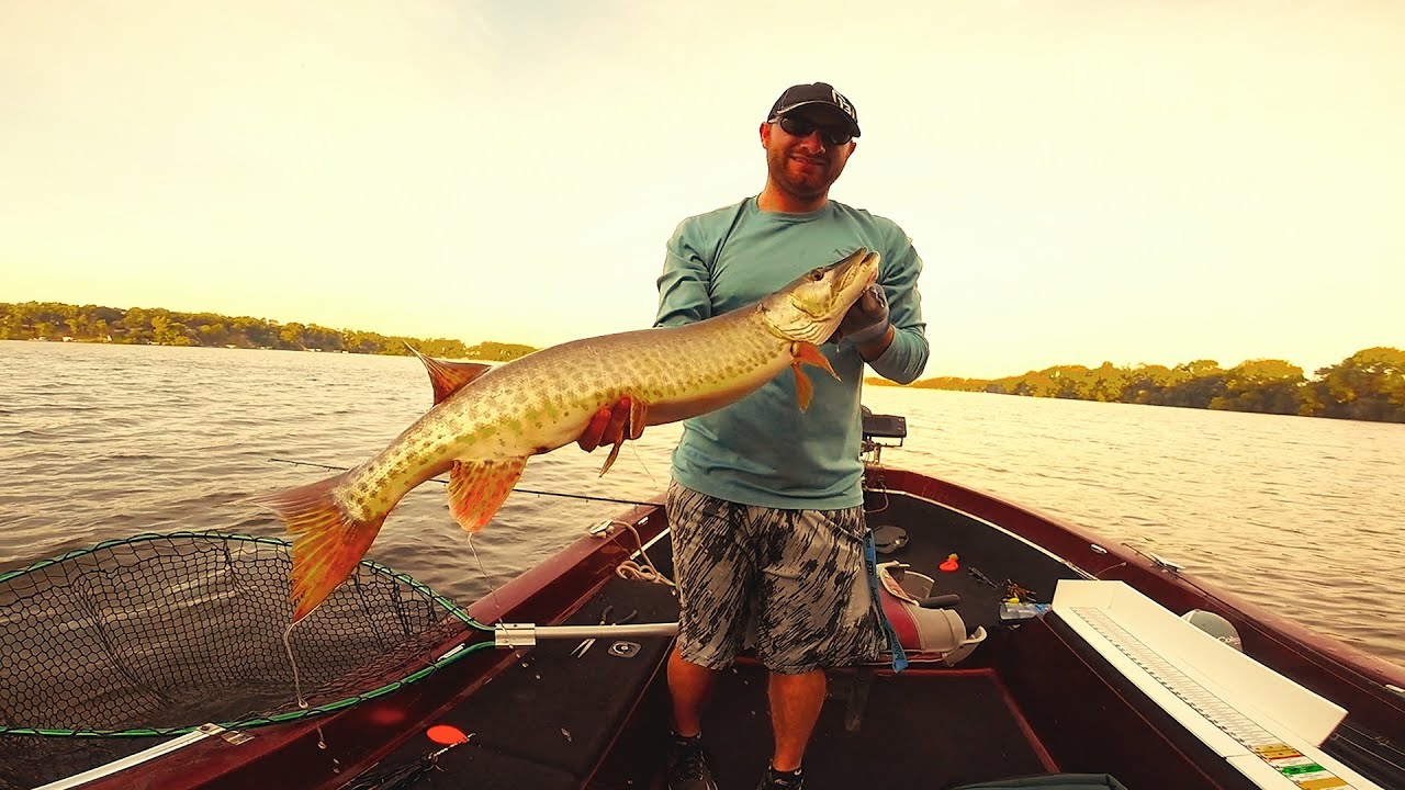 MINNESOTA MUSKIE FISHING! - YouTube