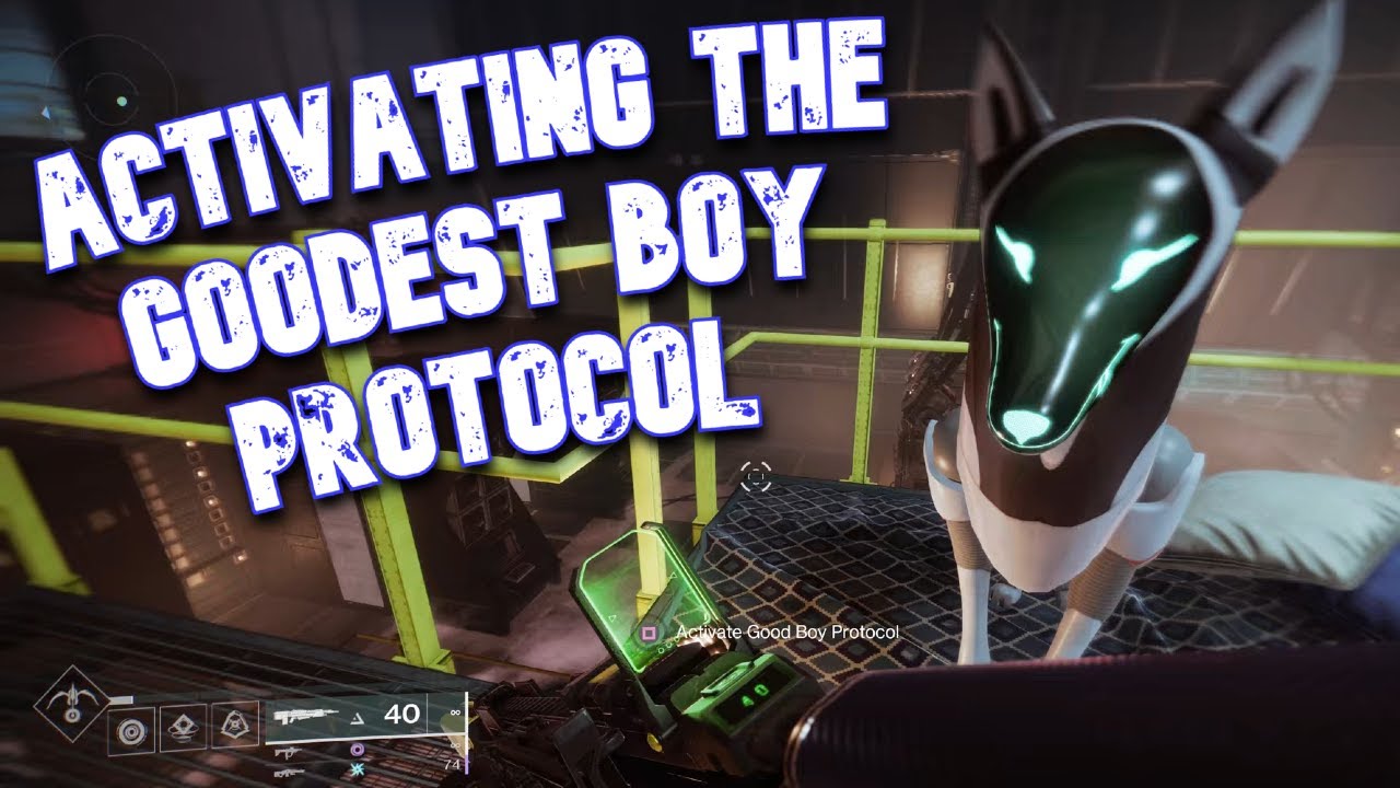 Activating Good Boy Protocol - YouTube