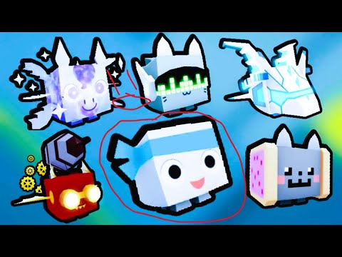 I got a shiny signed by Shybrb Tideye Cat - YouTube