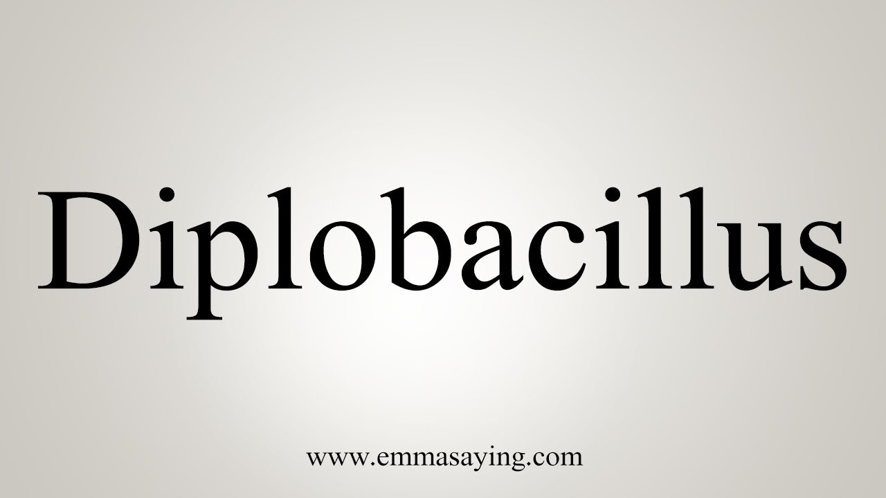 How To Say Diplobacillus - YouTube