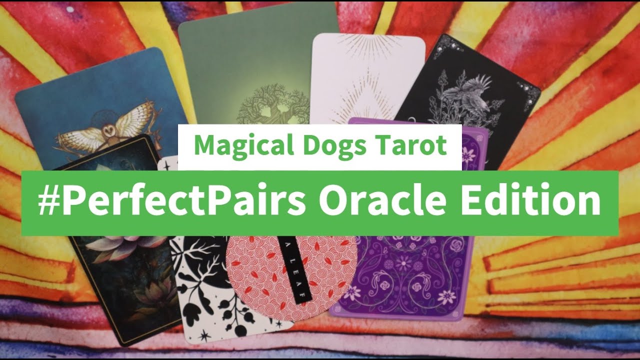 Magical Dogs Tarot || #PerfectPairs Oracle || #DeckStrengthVsWeakness ...