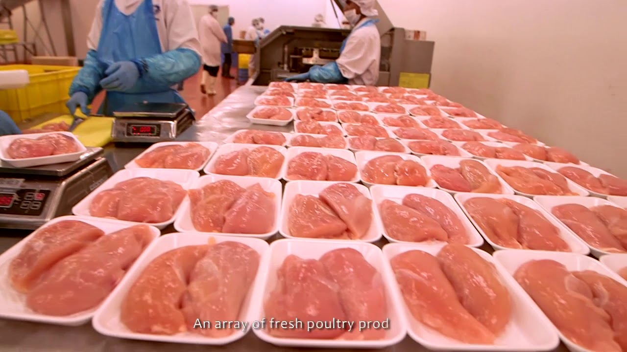 Freshly Food Service - YouTube