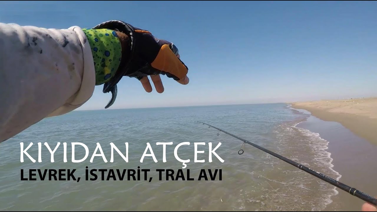 LEVREK, İSTAVRİT, TRAL AVI... KIYIDAN JİGLE VE SİLİKON KARİDESLE ATÇEK ...