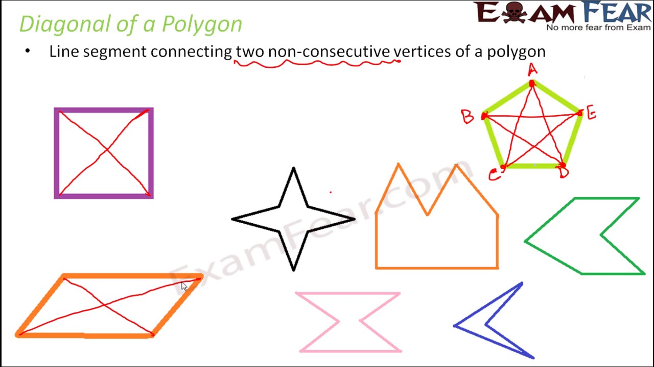 Class VI Math Diagonals of a Polygon - YouTube