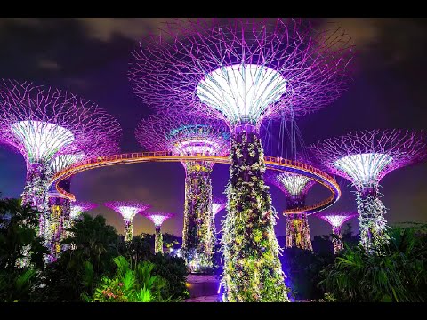 Garden Rhapsody Supertree Light Show at the Gardens by the Bay in ...
