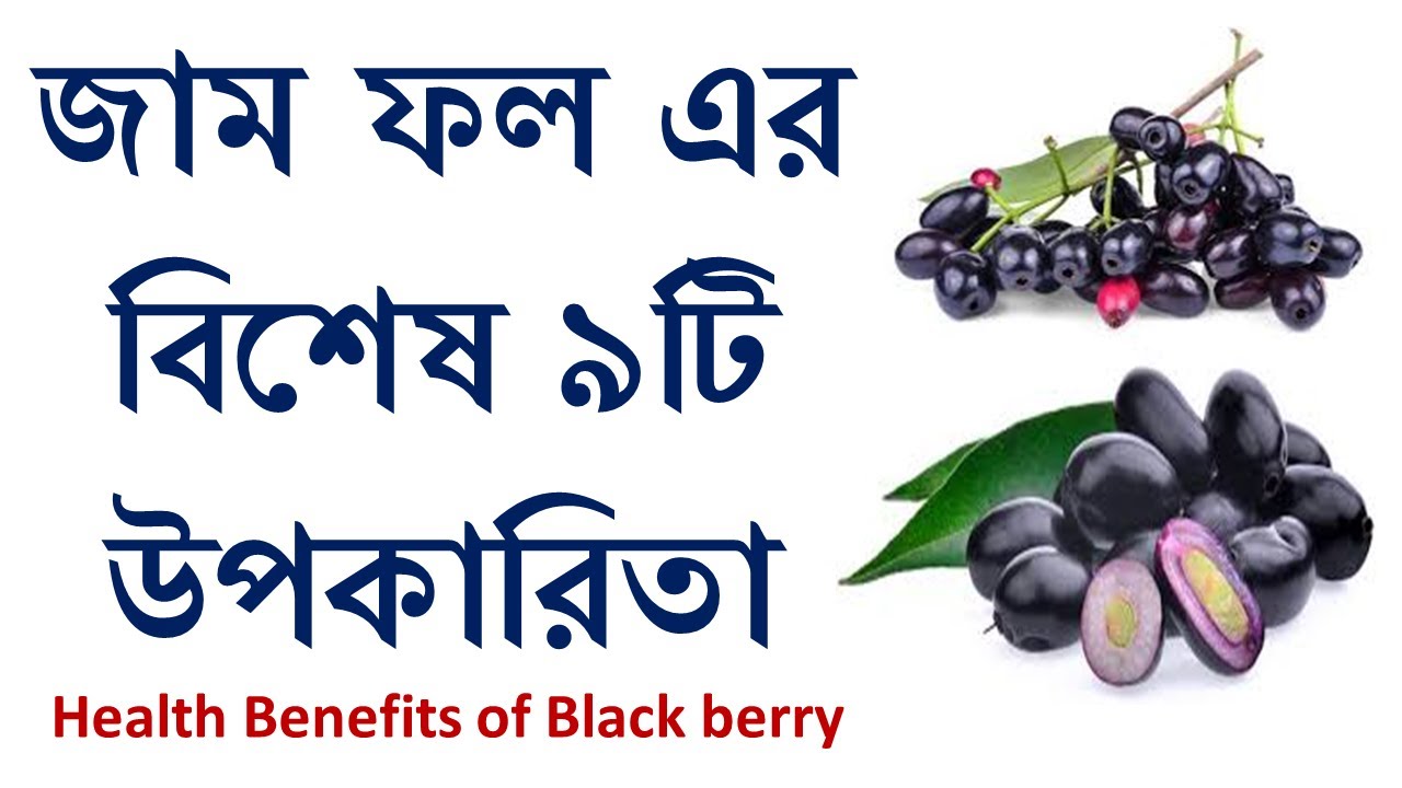 jam er upokarita/জাম এর উপকারিতা/jam foler gunagun/Best Bangla Videos ...