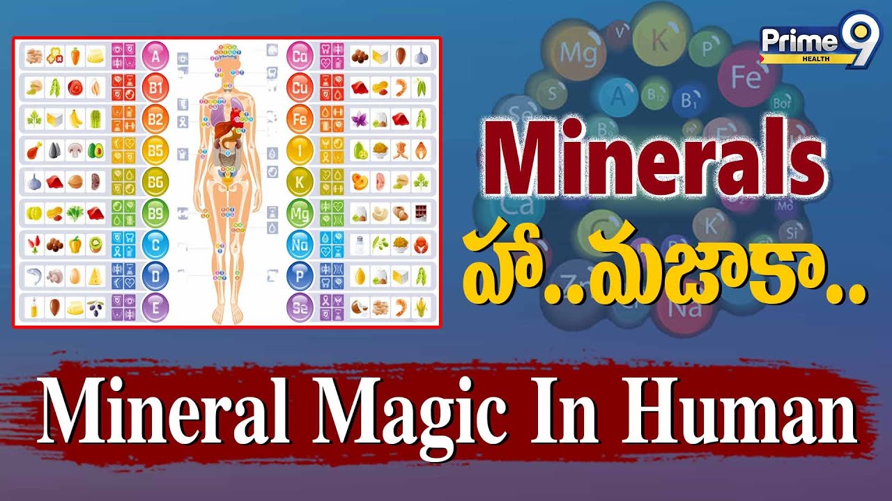 Minerals హా.. మజాకా.. | Mineral Magic In Human | Prime9 Health - YouTube