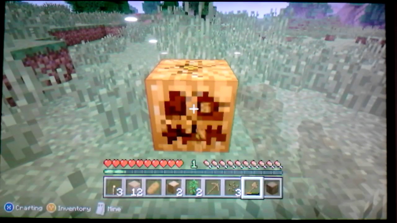 Minecraft/ Cheeto house episode #1 - YouTube