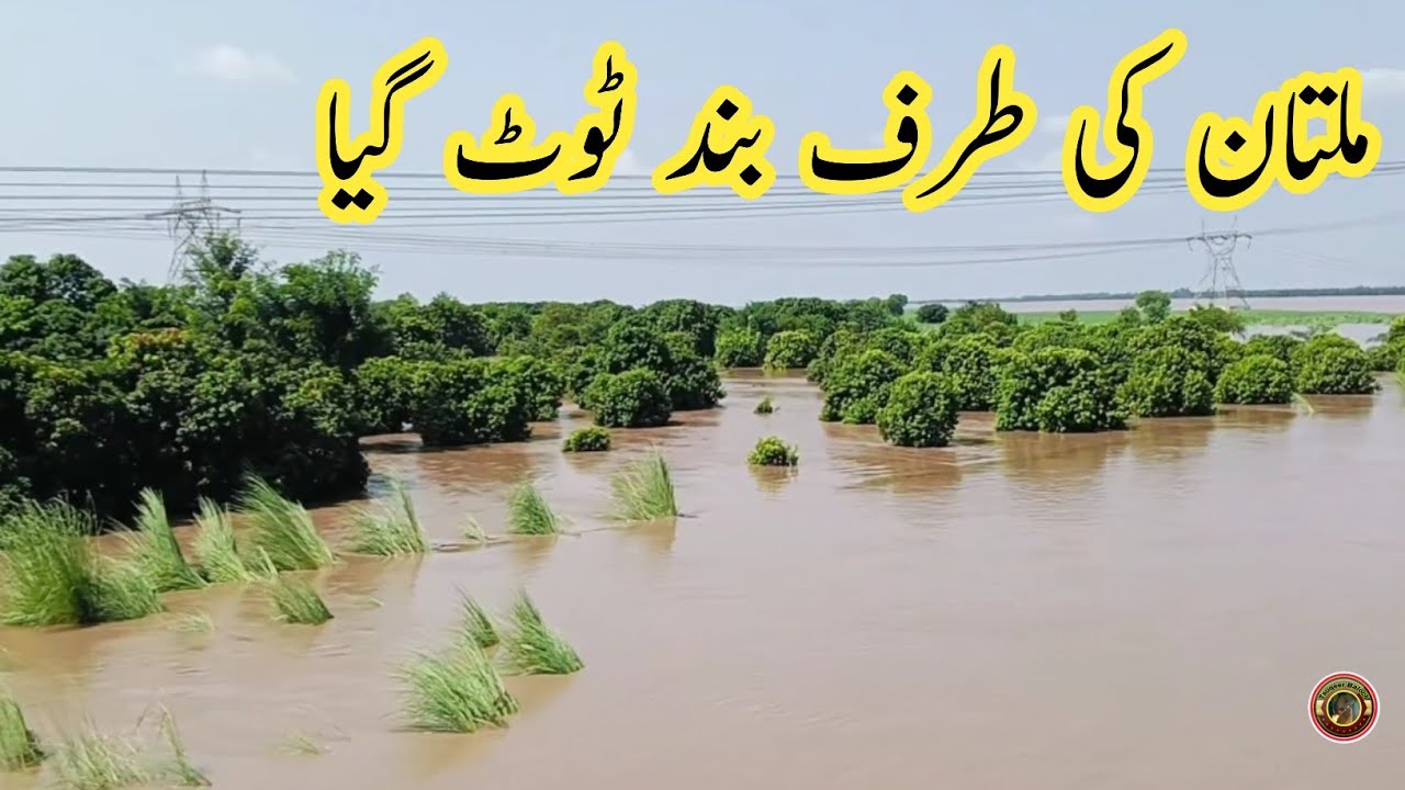 Multan Flood Today | River Chanab Sher Shah Pul Flood Update Today ...