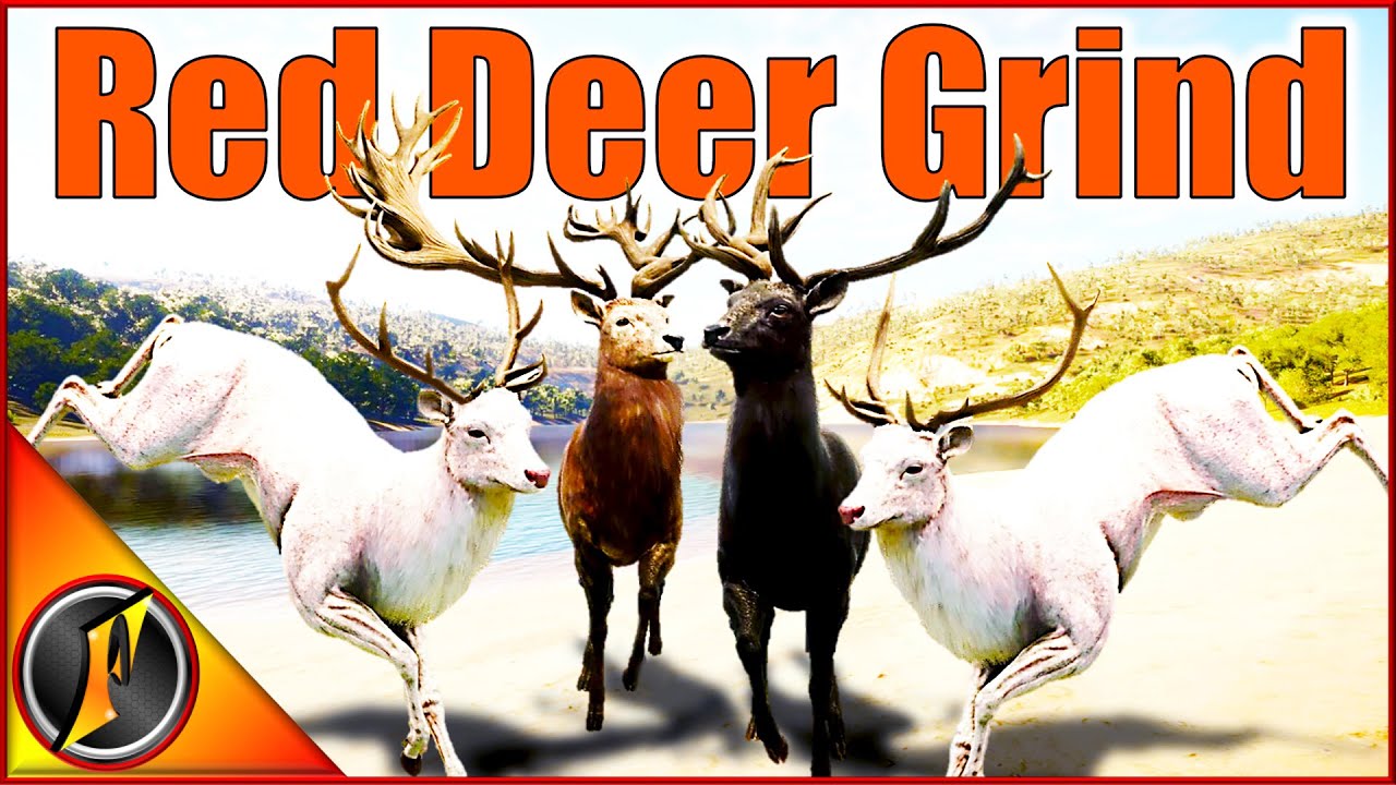 The Red Deer Grind is Heating Up! - YouTube